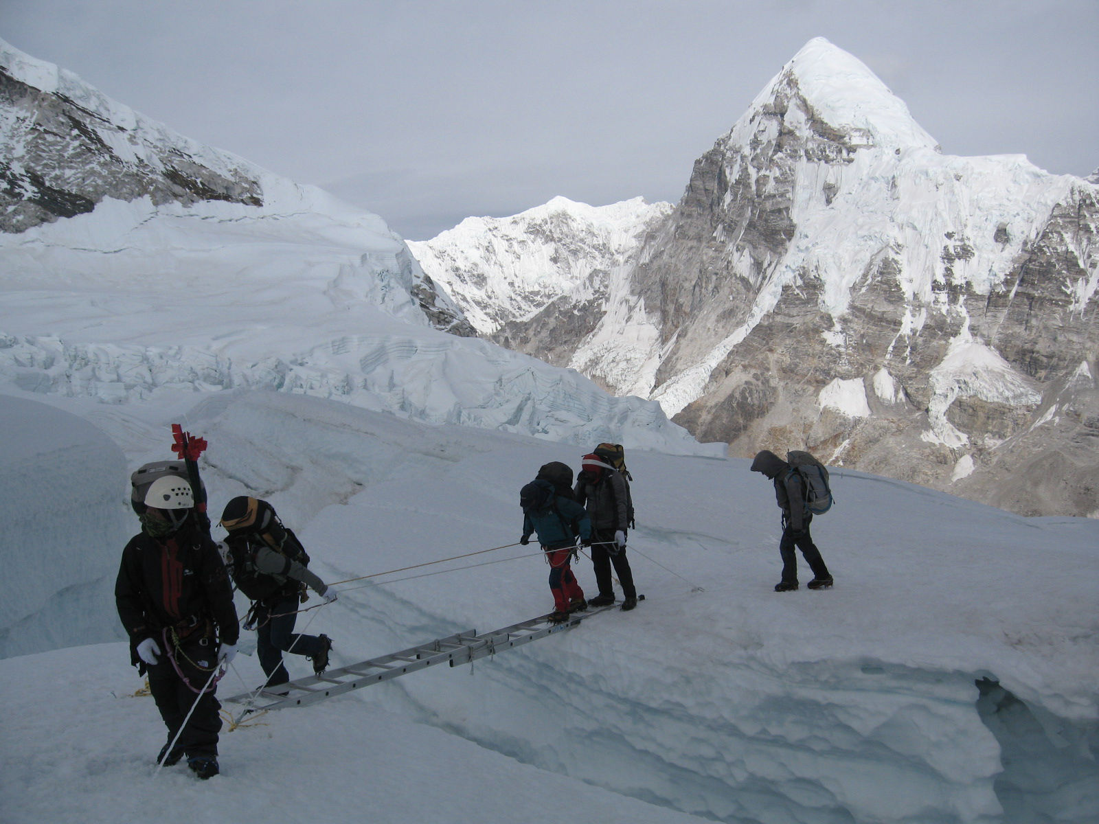 8000M: Dreamers Destination